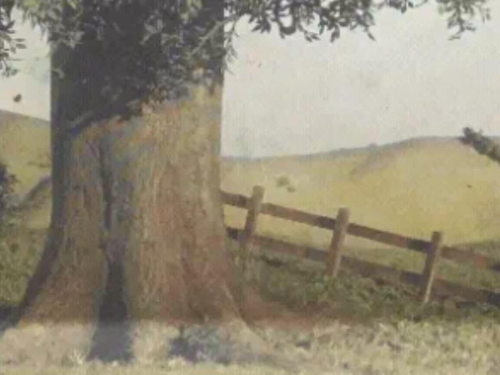 Art Club Intensive Photomedia - Stop-Motion Animation 2026 | What's on ...